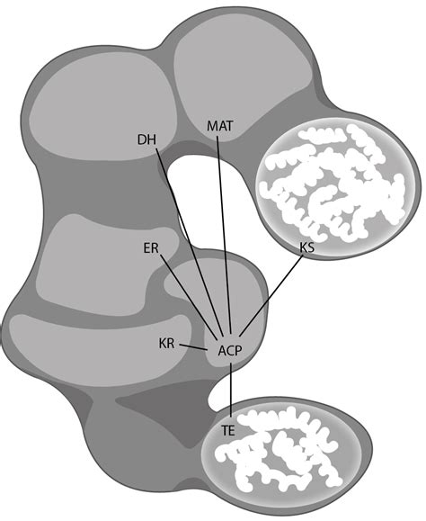 Kr Acervo De Imagens Ciar
