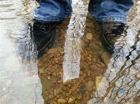 17 Best Images About Ways To Trash Shoessneakers And Have Fun Doing