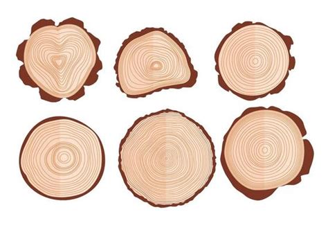 Tree Bark Vector Art Icons And Graphics For Free Download