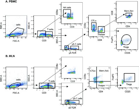 Figure S3 Gating Strategy For The Identification Of T Lymphocytes And Download Scientific