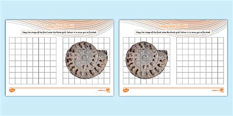 Copy The Fossil Worksheet Twinkl Art And Design Twinkl