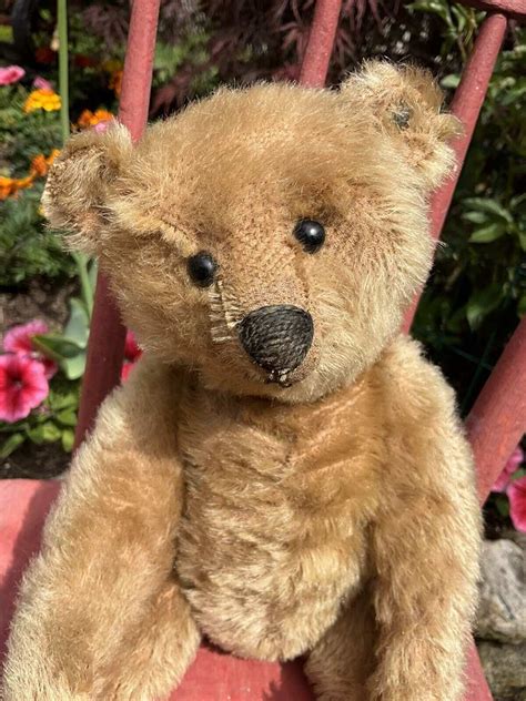 Antique Teddy Bears Identification And Value Guide