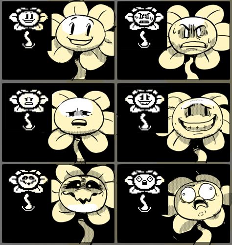 Flowey Undertale Memes At Lincoln Danny Blog