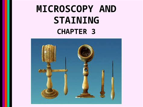 Ppt Microscopy And Staining Chapter 3 2 Metric Units Dokumentips