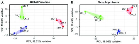 Pca Analysis Of The Global Proteome A And Phosphoproteome B