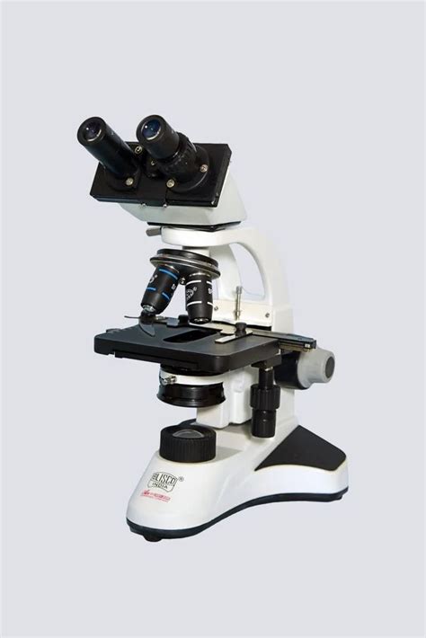 Pathological Binocular Microscope Medilux 100x At ₹ 20250 Piece In Ambala