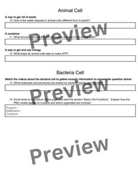 Inside A Cell Activity Questions By Anyone Can Science TPT