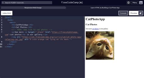 I Have A Challenge Thats Broken Freecodecamp Support The Freecodecamp Forum