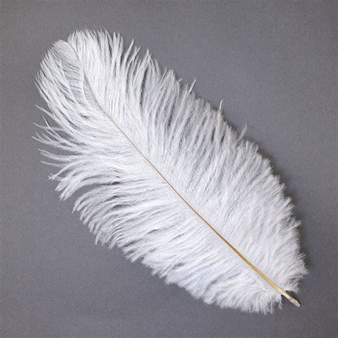 White Ostrich Feather Drabs 9 12 Inches 12pcs For Sale Buy Ostrich