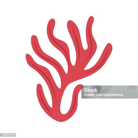 Algae Underwater Life Coral Abstract Seaweed Shape Aesthetic Element