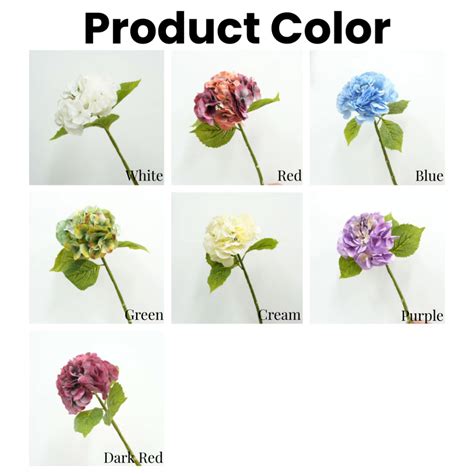 How To Choose The Best Orange Hydrangeas For Your Garden