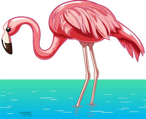 Flamingo Free Vector Clipart Images On