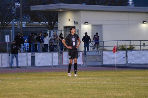 Dsc0262 Adrian Dalton Flickr