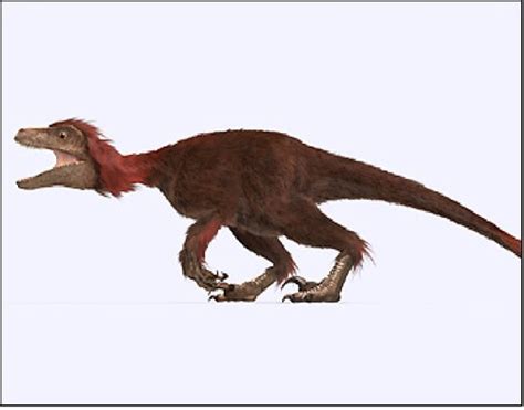 Pyroraptor Pictures And Facts The Dinosaur Database