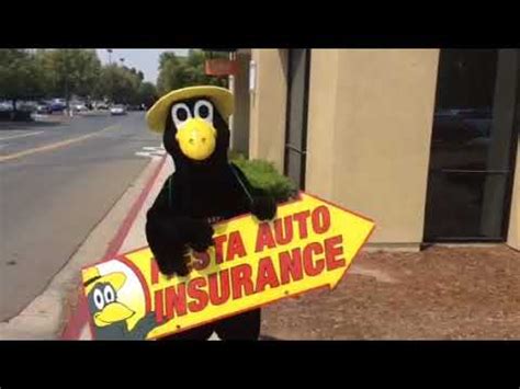 Fiesta Auto Insurance Crow In Pittsburg Ca Youtube