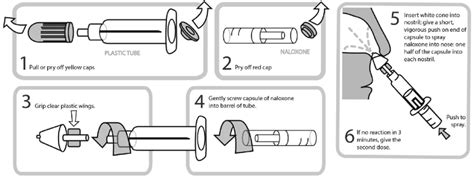Naloxone Prefilled Syringe With Nasal Atomizer Instructions 31