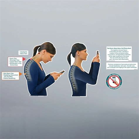 Text Posture Dysfunction Removable Wall Graphic Chiro1source