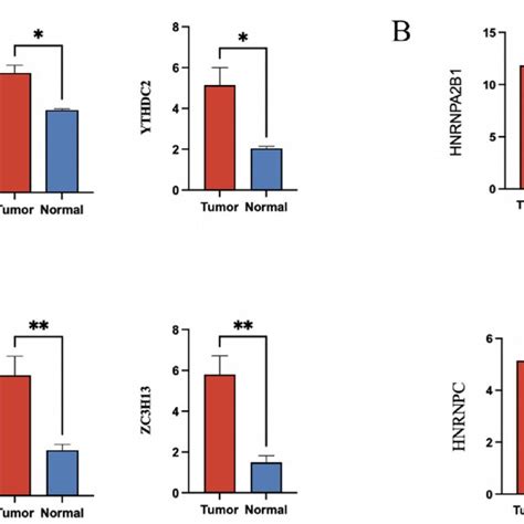 A Quantitative Rt Pcr Verifying The Expression Of Ythdc1 Ythdc2