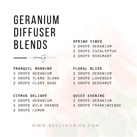 Geranium Essential Oil Diffuser Blends Essential Oil Diffuser Blends