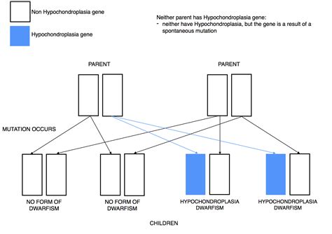 Dwarfism Gene Mutation