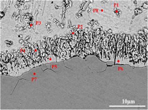 Interface Of Galvanizing On Reduced Surface At 700 ℃ For 15s Download Scientific Diagram