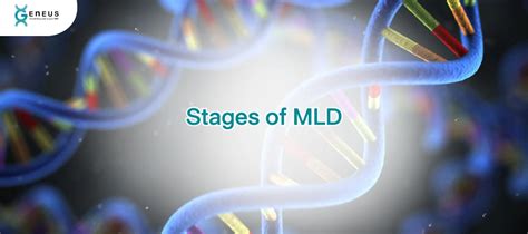 What Is Mld Metachromatic Leukodystrophy A Genetic Disorder