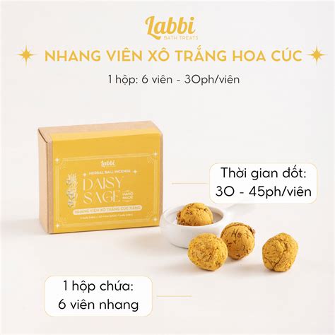 Nhang Viên Thảo Mộc Hoa Cúc Daisy Sage [labbi] Mang Năng Lượng Tích Cự
