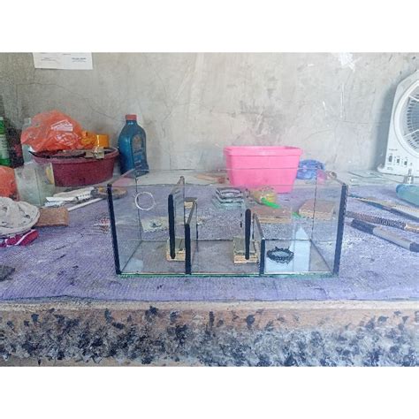 Sump Filter 12 By 5 By 5 Inches Glass Shopee Philippines