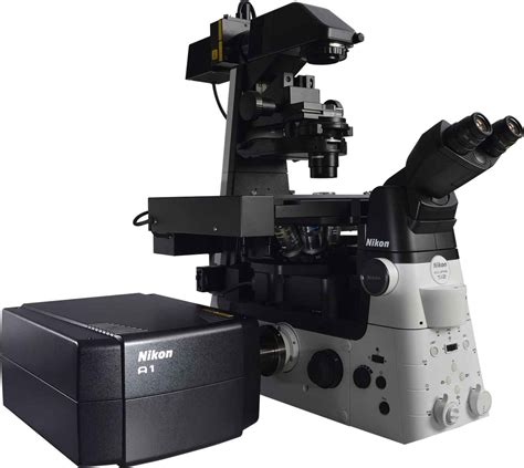 Mikroskop Konfokalny Confocal Microscope Phobia — Photonics And