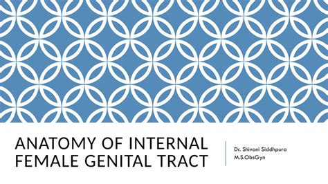 Anatomy Of Female Internal Genital Organs Pptx