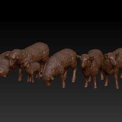 Download 5 3d Models From Birds Of A Feather Flock Together Listed By