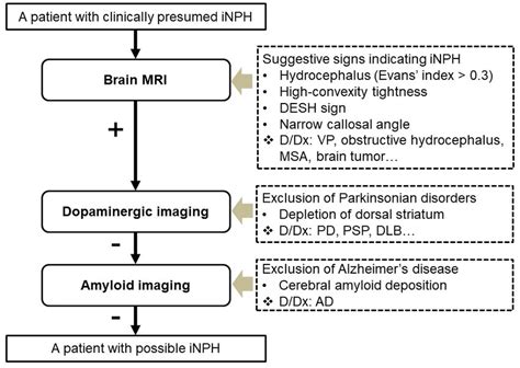 The Differential Diagnosis And Treatment Of Normal Pressure