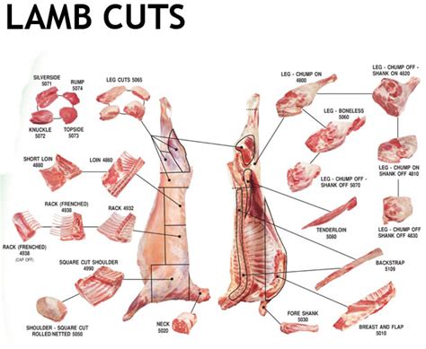 Easy Cooking Lamb Cuts
