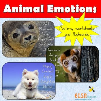 Animal Emotions Pack By Elsa Support Tpt
