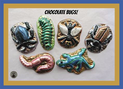 Chocolate Bugs Edible Insects Cake Topper Etsy Uk