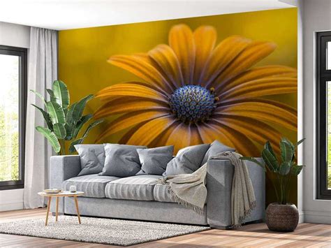 Sunshine Daisy Fotobehang