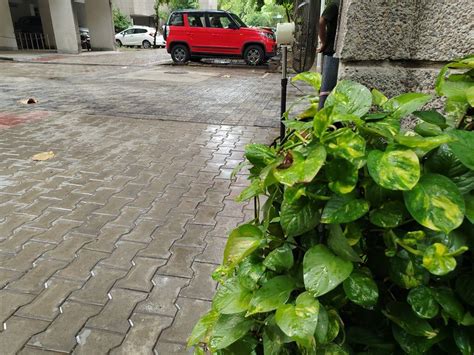 Redmi Review The G Budget Beauty Gets Bigger And Better Techpp