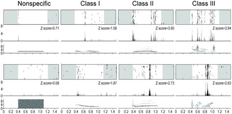 Neuronal Activity Is Represented As Raster Plots Corresponding To The