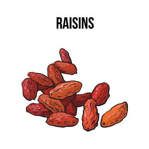 Raisin Illustrations Royalty Free Vector Graphics And Clip Art Istock