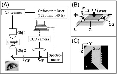A Setup Of A Scanning Shg Microscope B C Detailed Sample Download Scientific Diagram