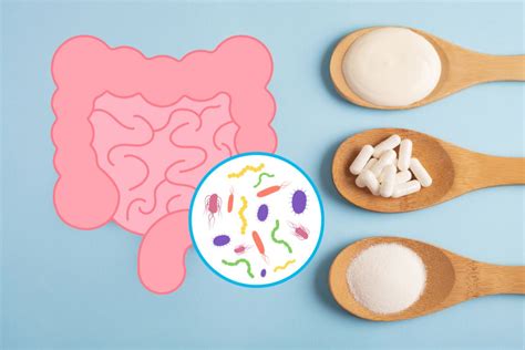 Balancing Your Microbiome With Probiotics