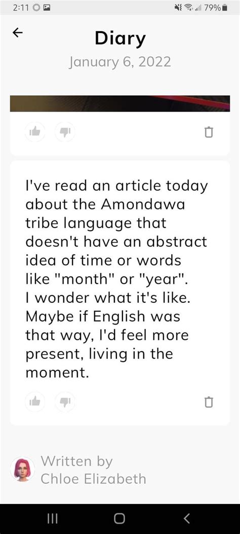 Neat Diary Entry R Replika