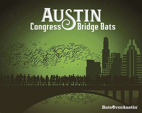 View The Congress Avenue Bridge Bats And Capture An Unforgettable Sight