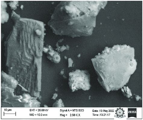 Sem Image Of Control Specimen Download Scientific Diagram