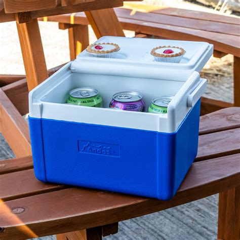 Andes 5l Small Cool Box For Food And Drinks Fits 6 X 330ml Cans Blue