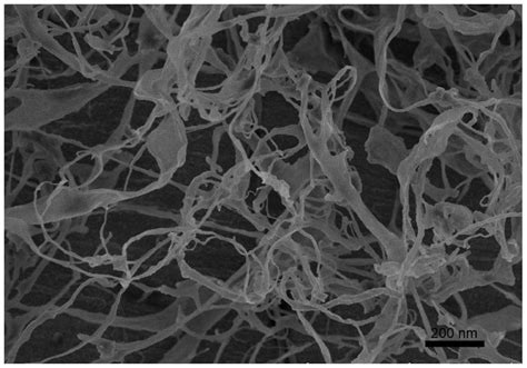 Preparation Method Of Nanocellulose Eureka Patsnap