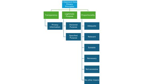 Data Privacy Principles Data Privacy Law Legal Resource Ph