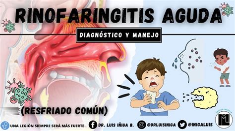 Rinofaringitis Aguda Resfriado Común Etiología Patogenia Clínica Diagnóstico Y