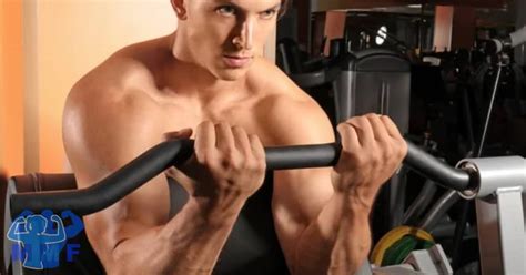 Best Bicep Machine Exercises For Men Get Fit Quickly