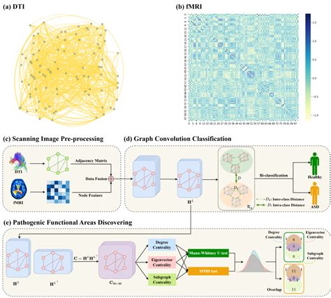 논문 리뷰 Diagnosis And Pathogenic Analysis Of Autism Spectrum Disorder Using Fused Brain